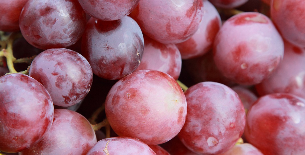 Grapes in Charts: How will Peru's sharp volume increase affect the U.S ...