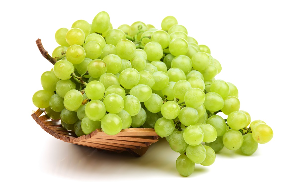 South African table grapes regain Thai market access - FreshFruitPortal.com