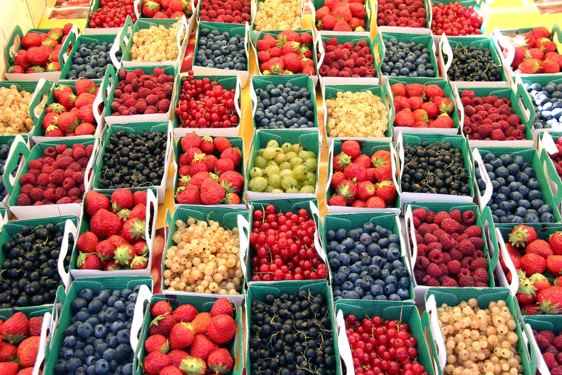 Soft fruit and niche products could gain fresh importance in 2016 ...