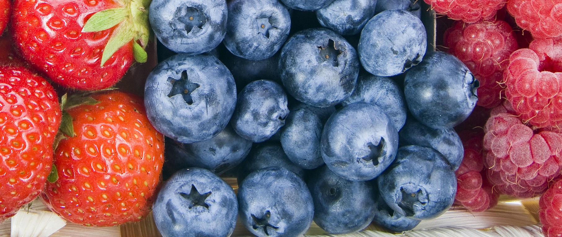 U.S.: FUJ ramps up pressure ahead of Sakuma union negotiation ...