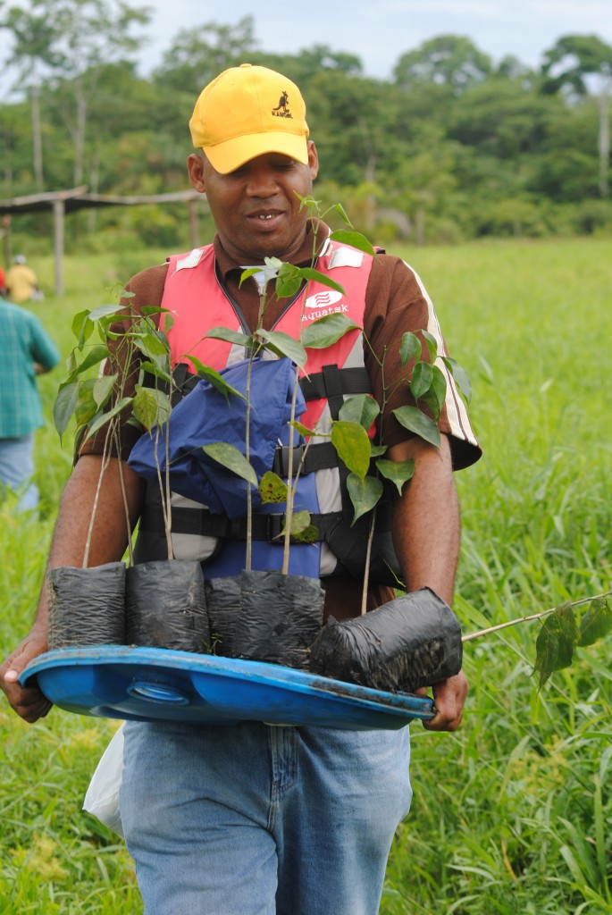 Germany: Rewe pledges €40,000 for Central American banana projects ...