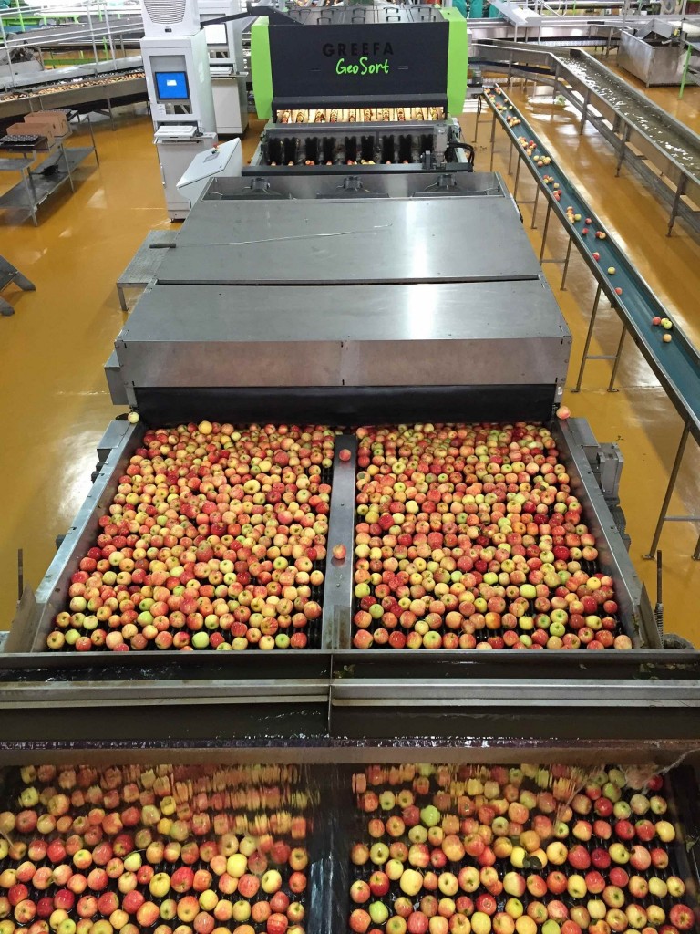 South Africa: Fruit-friendly X-ray tech roots out defects in Tru-Cape ...