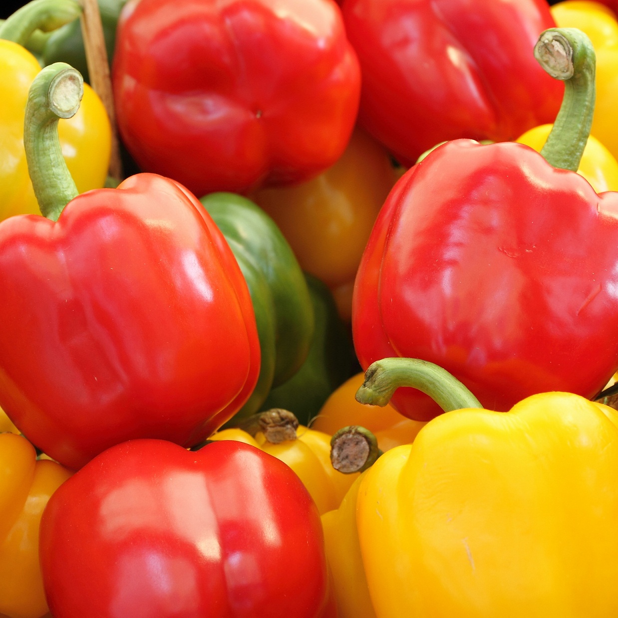 Australian vegetable industry set to host Asian buyers ...