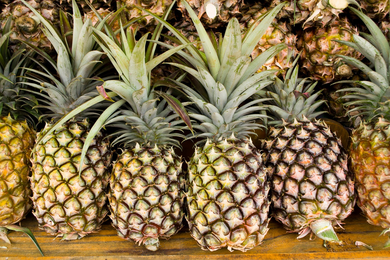 U.K. music festivalgoers circumvent unusual pineapple ban ...