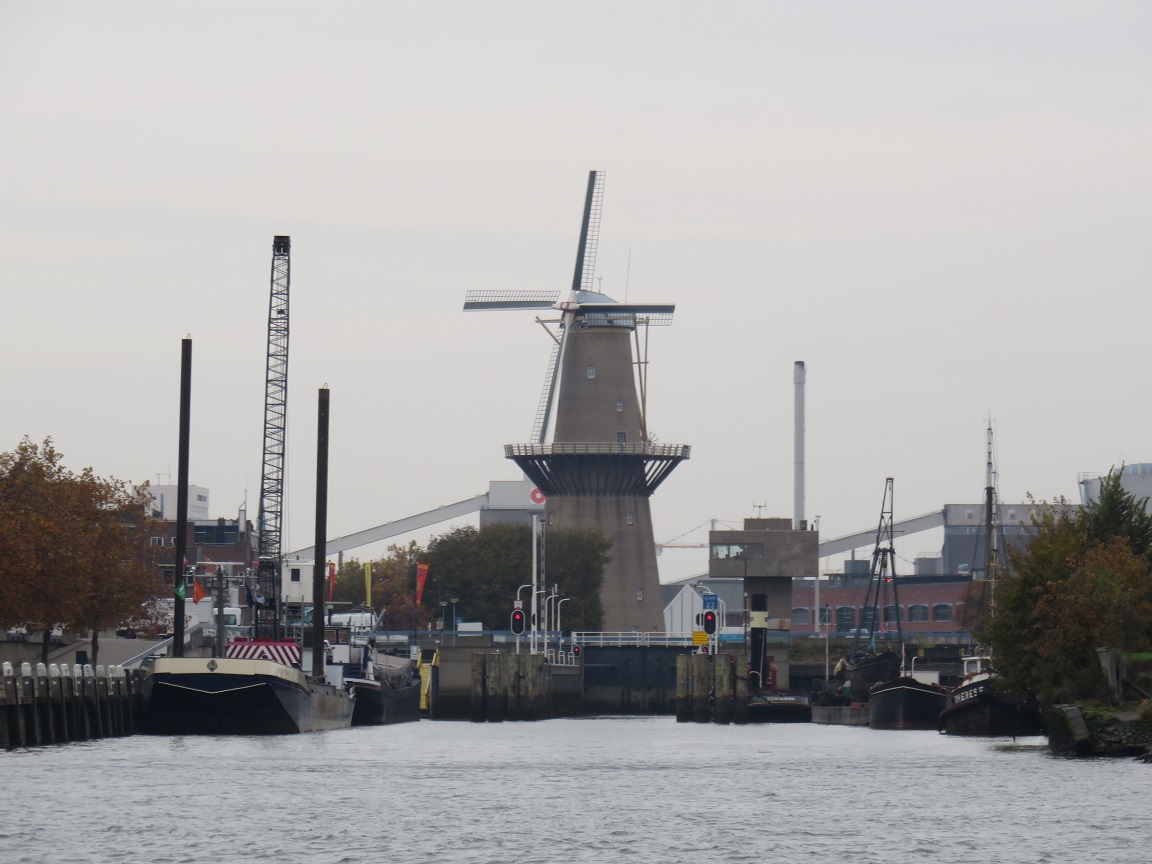 Touring the world's leading port for fruit and veggie imports ...