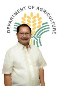 Philippine Ag Secretary aims to convert former militants into banana ...