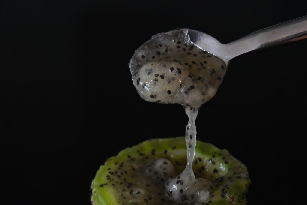 Culinary rumba for native Chilean rumpa fruit - FreshFruitPortal.com