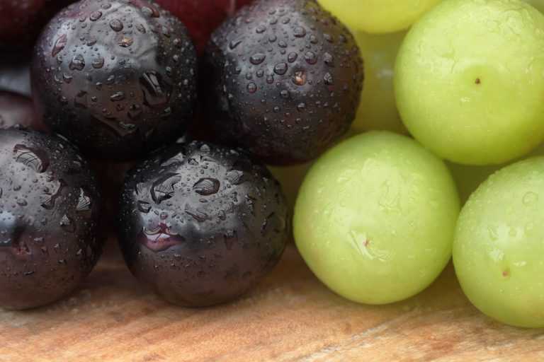 South Africa: Good demand in key grape markets, says SATI ...