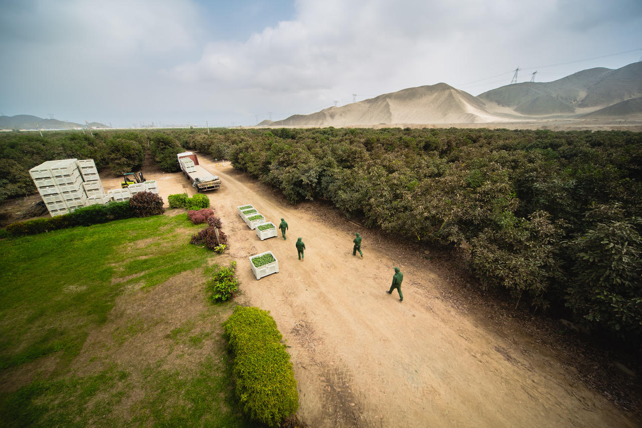 Westfalia acquires majority stake in Peru's Camet Trading ...