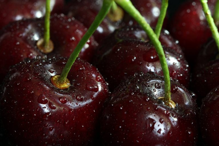 Japan grants access to Canadian cherries - FreshFruitPortal.com