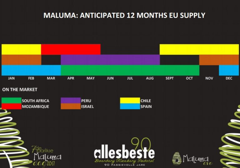 Maluma avocado hits the gas to catch up with Hass - FreshFruitPortal.com