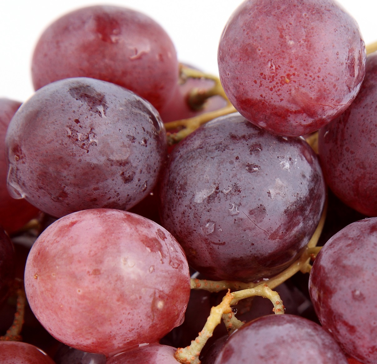 Californian table grape overhang to clash with Peruvian and Chilean ...