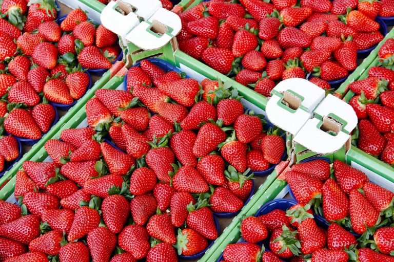 NZ: Freshmax announces exclusive strawberry IP licensing deal ...