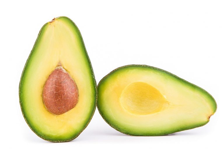 South Africa: Koeltehof opens high-tech avocado packhouse in Mpumalanga ...
