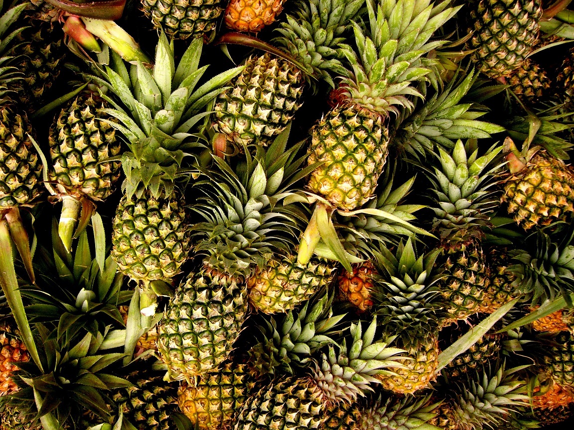 Costa Rica: UNESCO urged to protect area from Del Monte pineapple ...