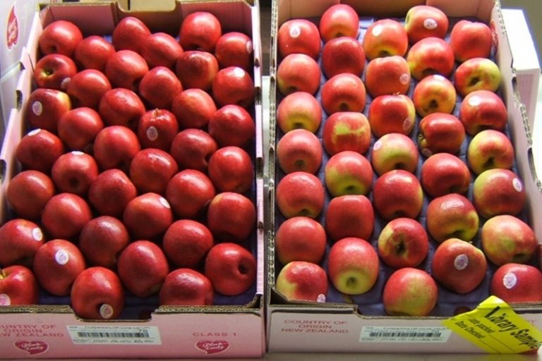 Opinion: Pros and cons of club varieties - FreshFruitPortal.com