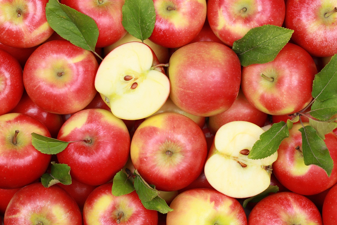 Record US apple harvest and booming exports