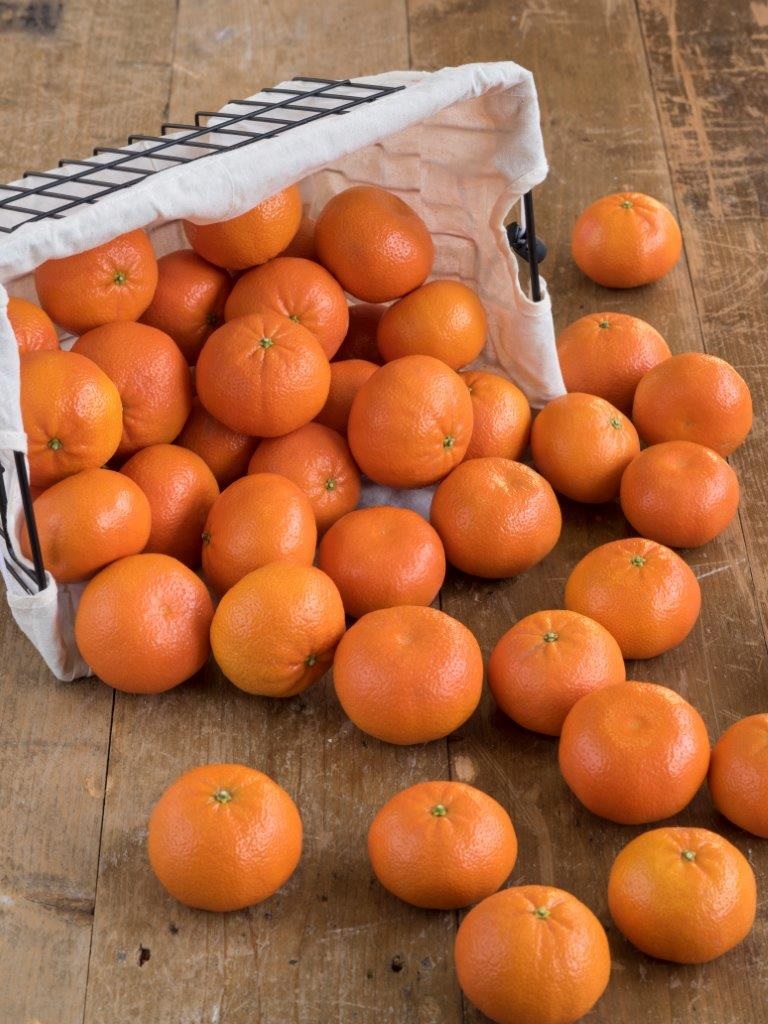 South African citrus continue to grow
