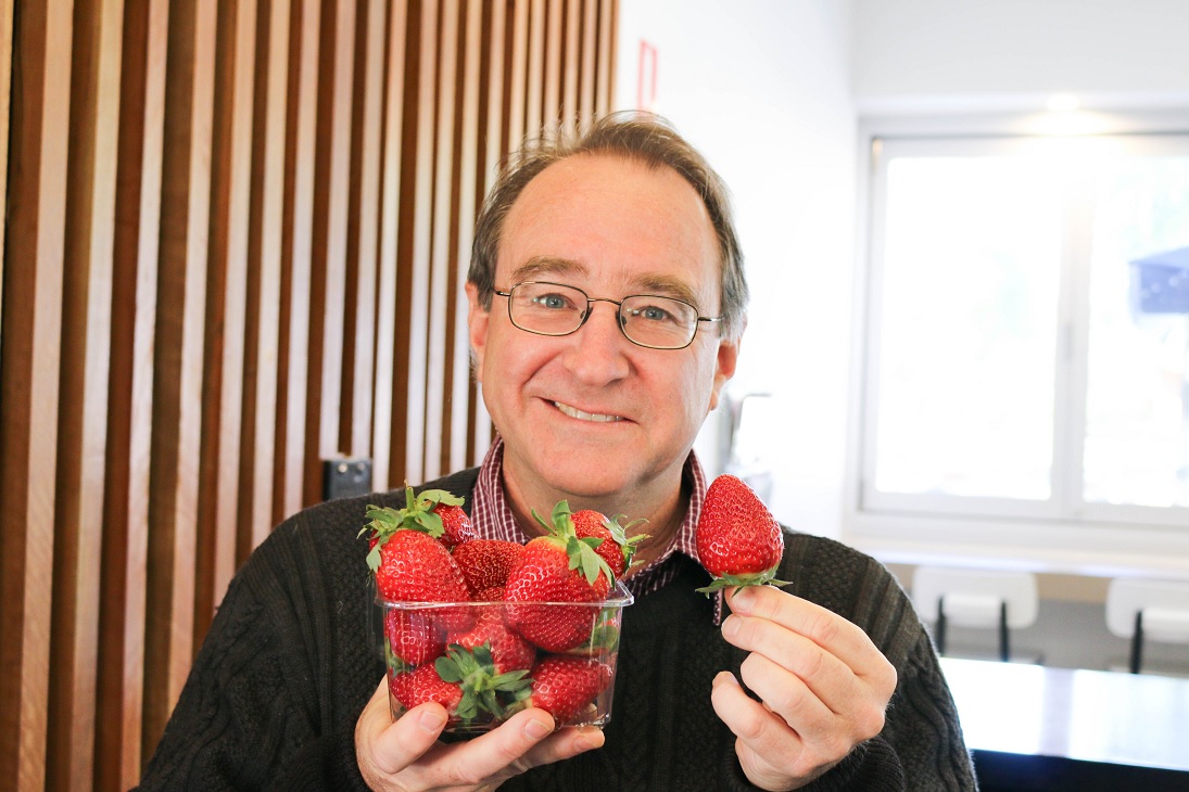 Folate-rich "Alpha strawberry" discovered in Australia ...