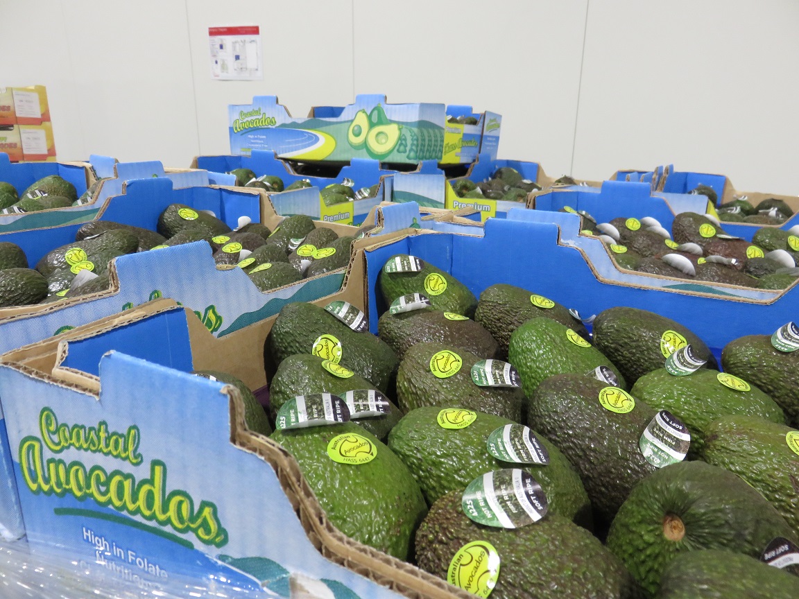 Australia: Freshmax Brisbane upgrade nears completion ...