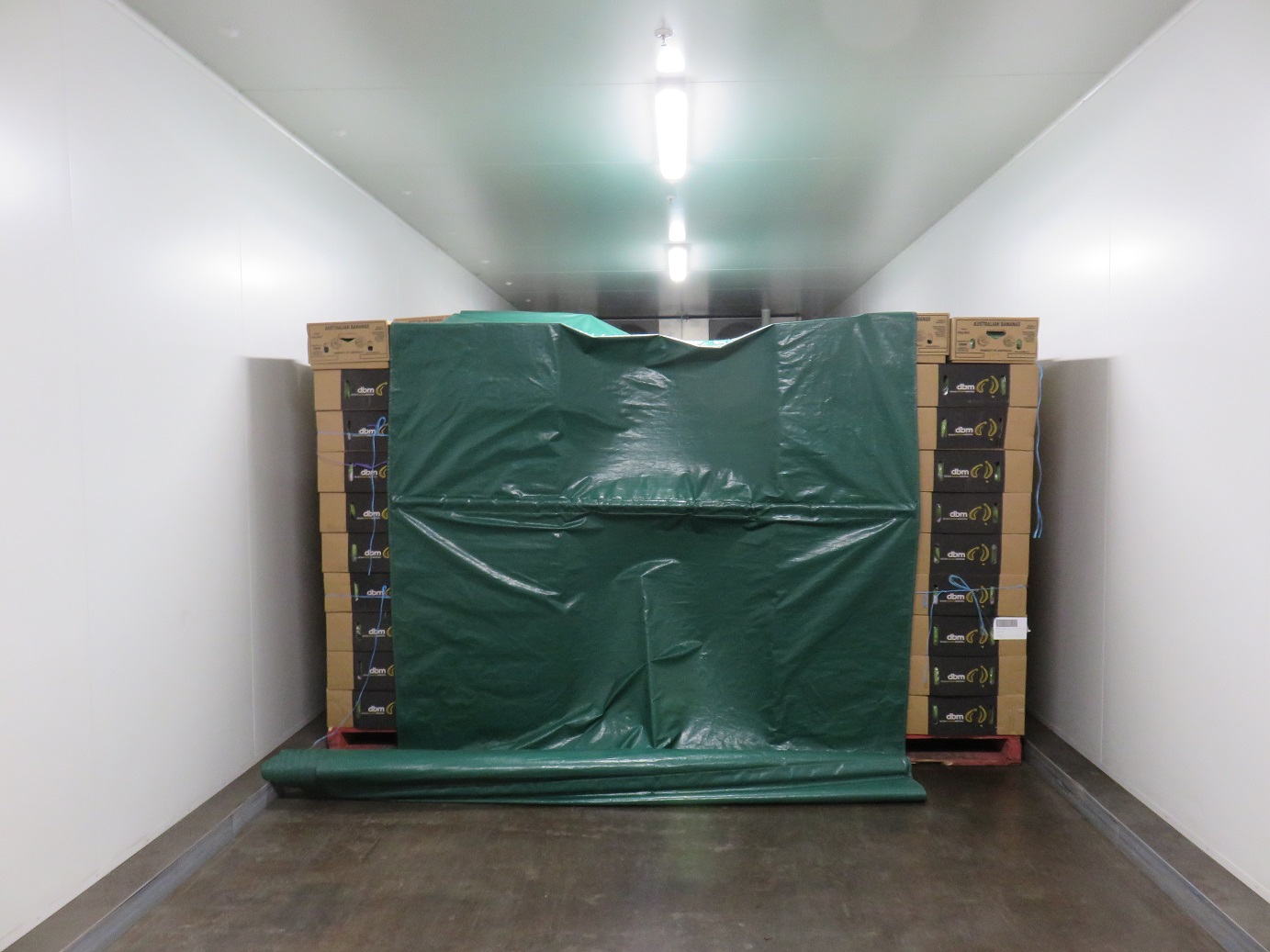 Australia: Freshmax Brisbane upgrade nears completion ...