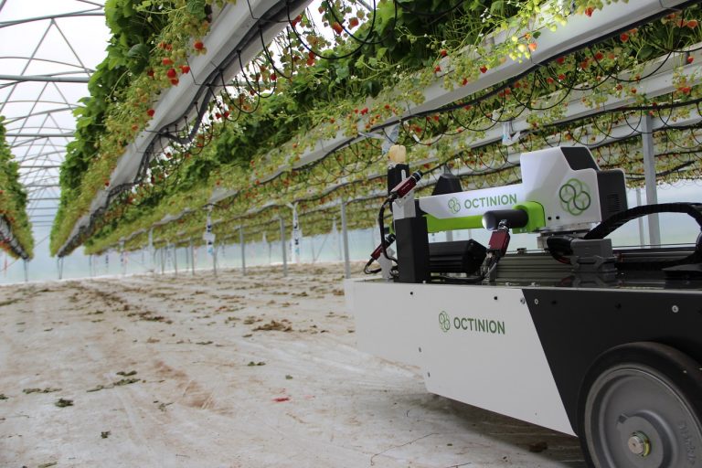 Octinion develops greenhouse strawberry picker and autonomous ...