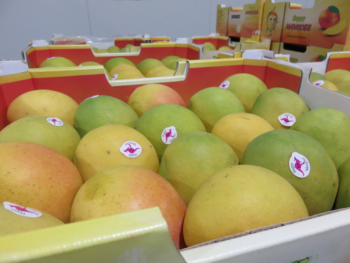 Australia: Freshmax Brisbane upgrade nears completion ...