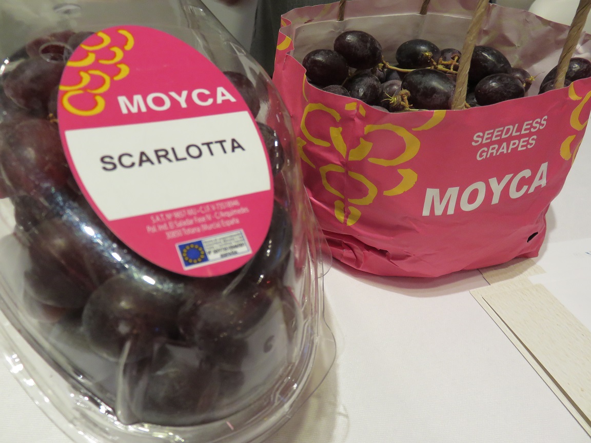 Farm management and new varieties key for Spanish grape grower Moyca ...