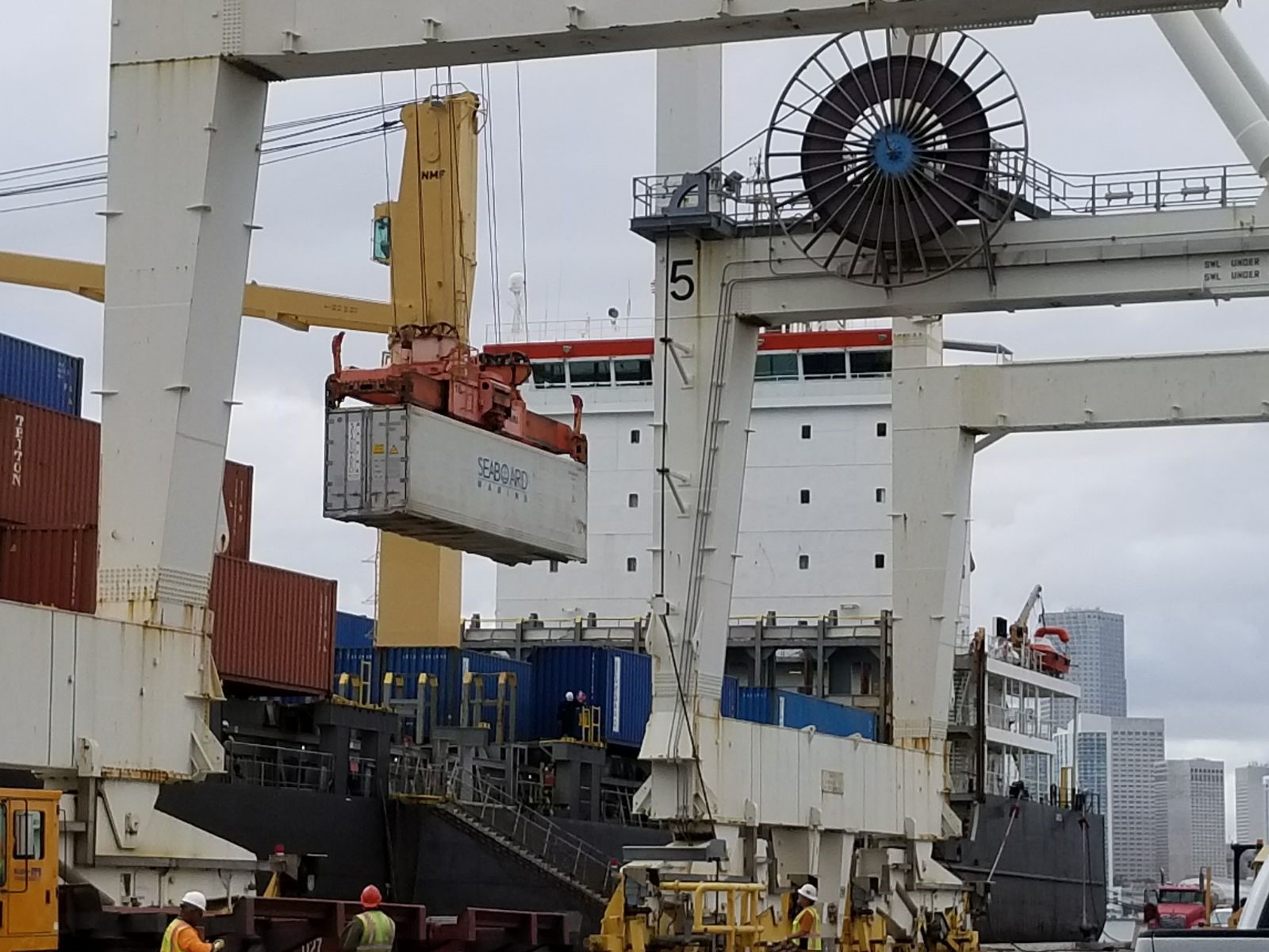 U.S.: First sea freight Ecuadorian dragon fruit shipment arrives in ...