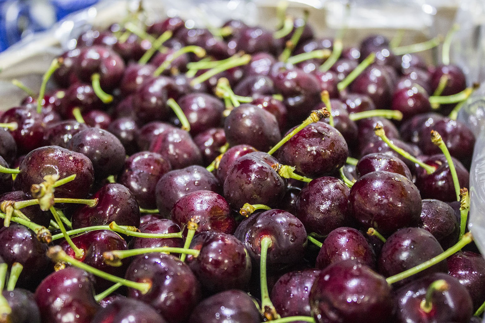 French cherry production projected up in 2025