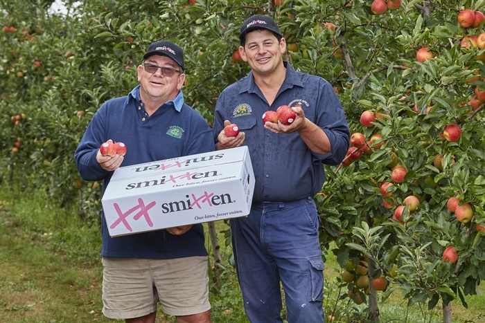 Australia: Montague starts Smitten-branded apple season ...
