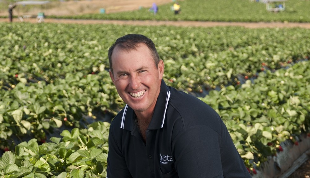 Innovation: Adapting broadacre practices for horticulture ...