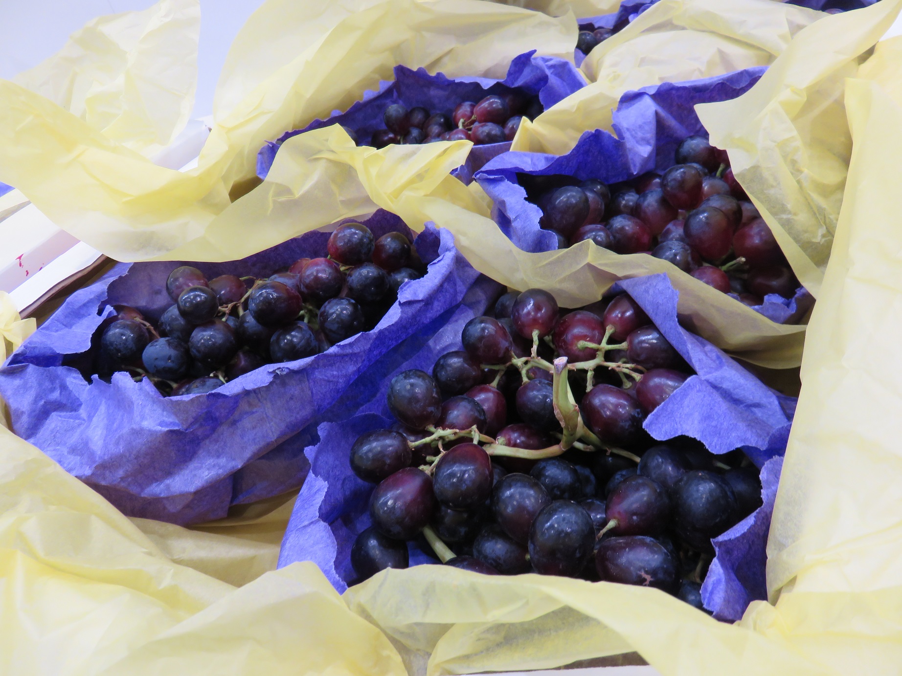 South African industry rings in new grape variety at Fruit Logistica ...