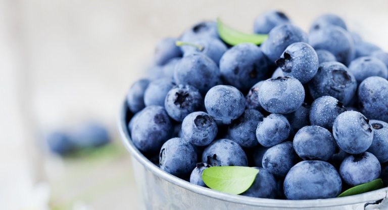 BerryWorld forecasts 30% rise in South African blueberry volumes ...