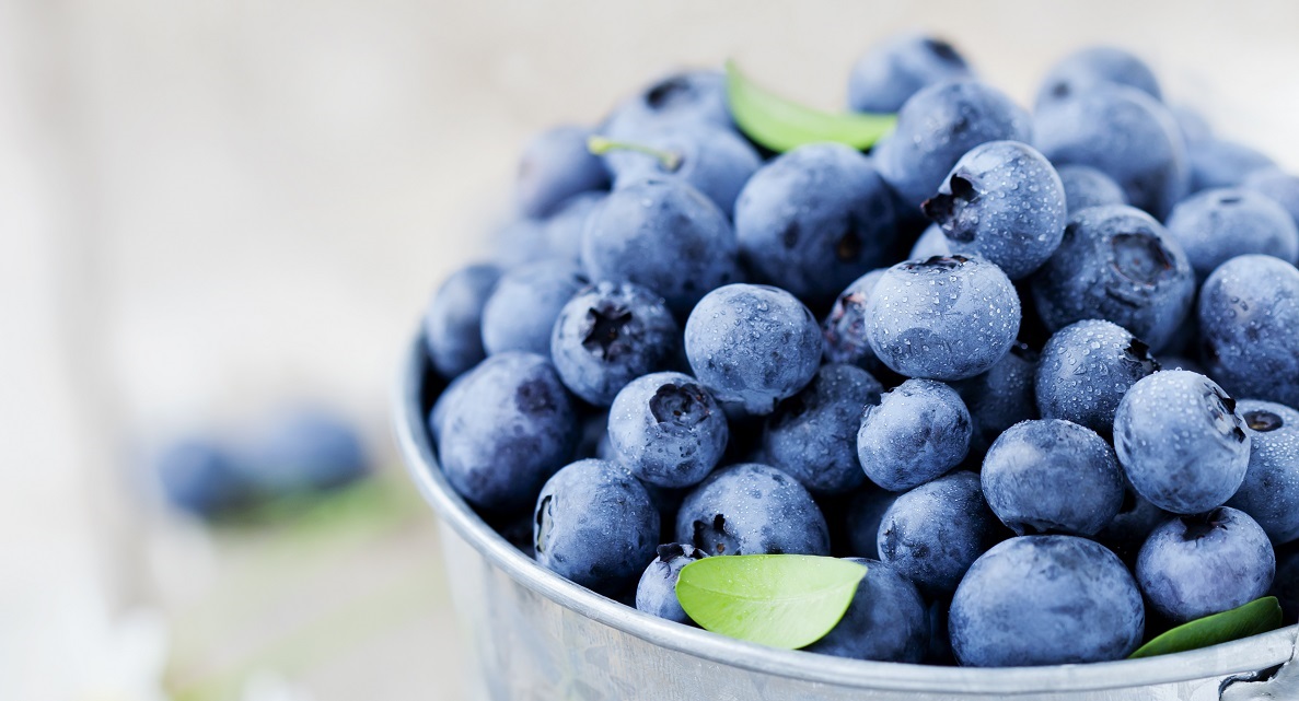 Chinese market remains 'unattractive' for Mexican blueberries ...