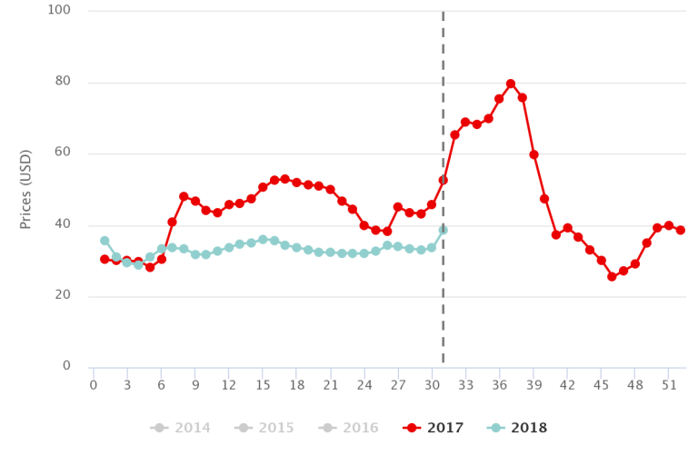 U.S. avocado market prices rise sharply - FreshFruitPortal.com