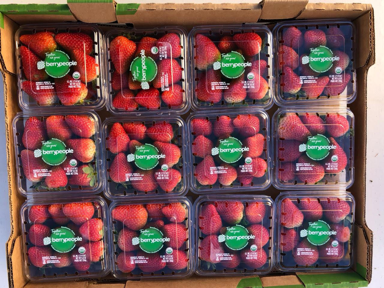 Berry People expands Baja California organic strawberry program ...