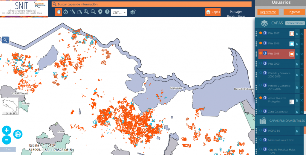 Costa Rica: Pineapple plantations see rapid growth - FreshFruitPortal.com