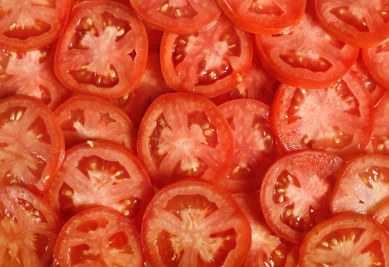 Harnessing 'junk' tomato genes could help speed-breed improved crops ...