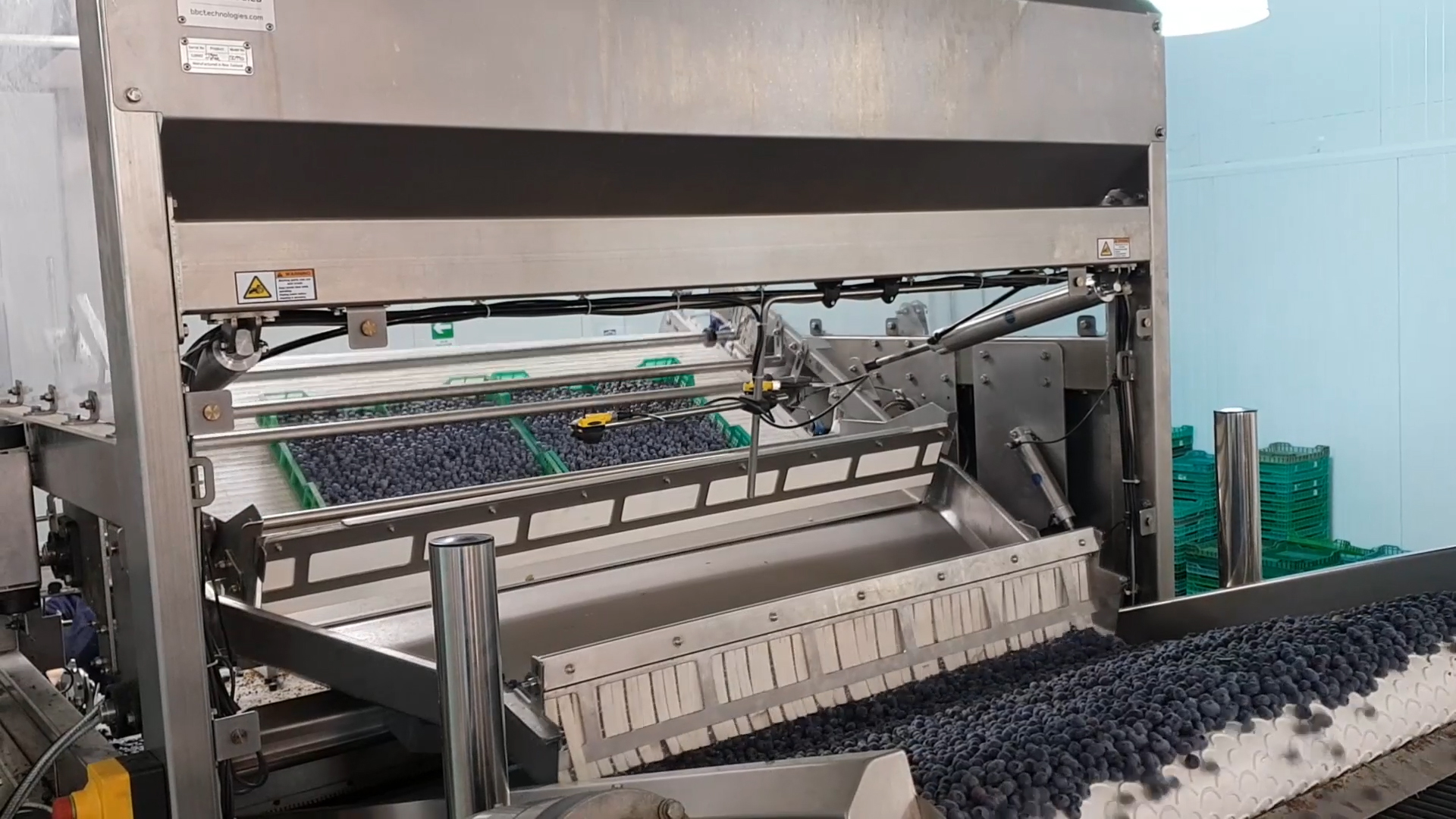 New Tray Tipper automates fruit delivery into KATO260 blueberry sorter ...