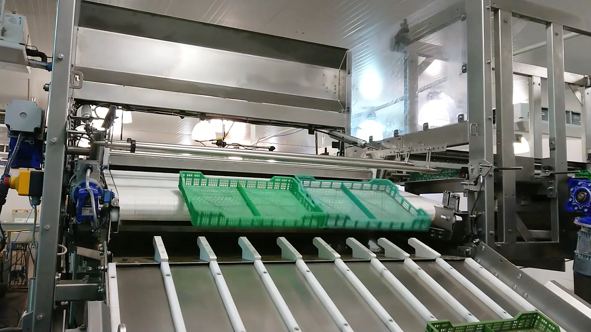 New Tray Tipper automates fruit delivery into KATO260 blueberry sorter ...