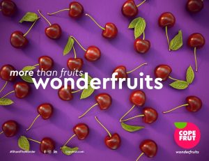 Copefrut launches brand refresh to continue contributing to quality of ...