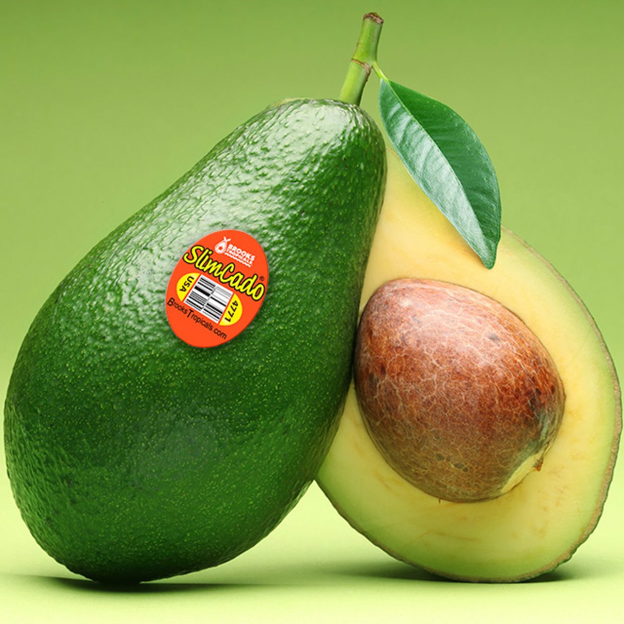 U.S.: Florida expects "typical" avocado volumes - FreshFruitPortal.com