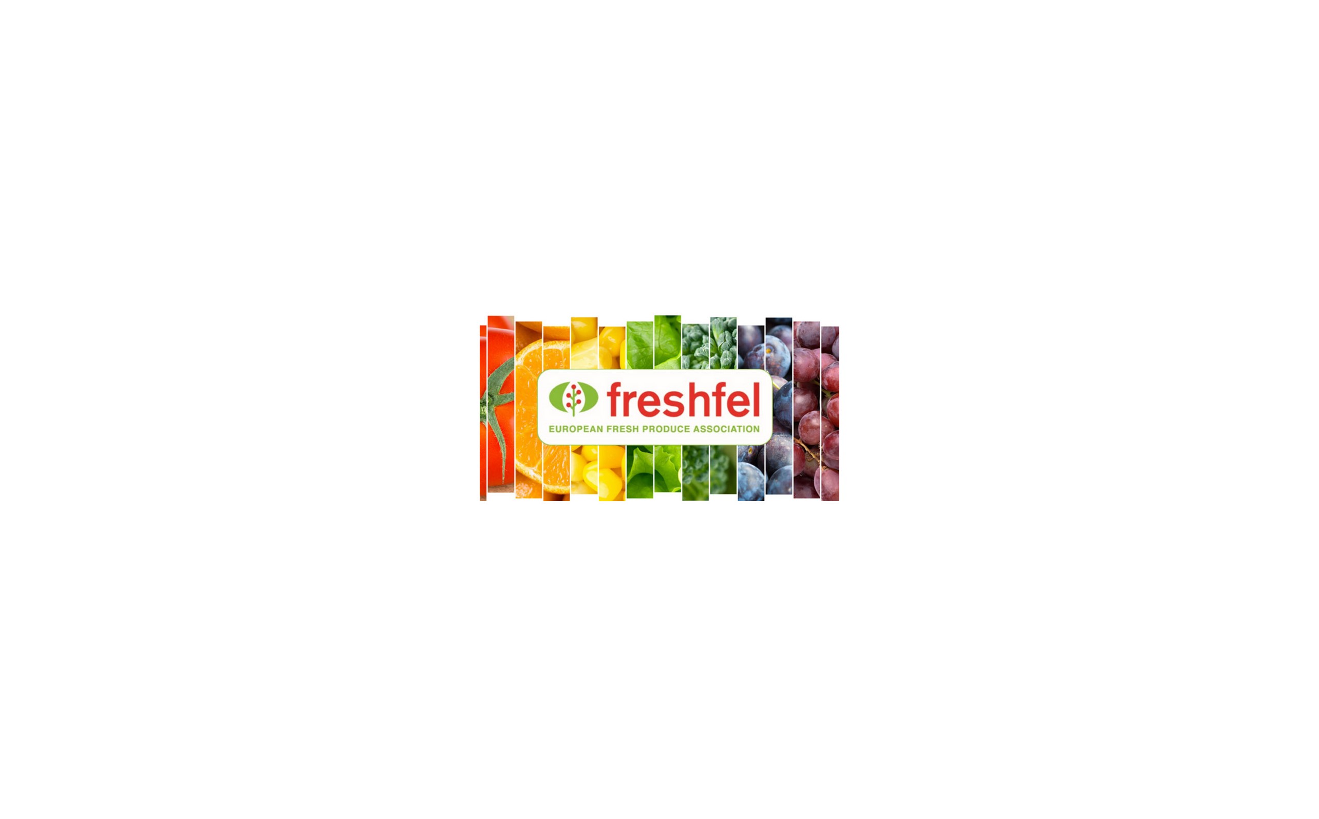 Freshfel Europe urges to diversify fruit, veg exports ...