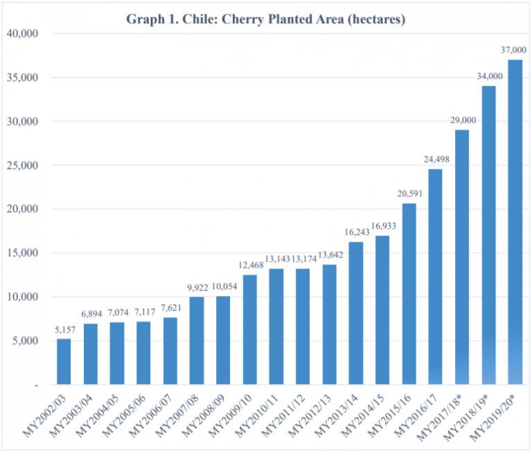 Chilean cherry exports to rise 15%, says USDA - FreshFruitPortal.com