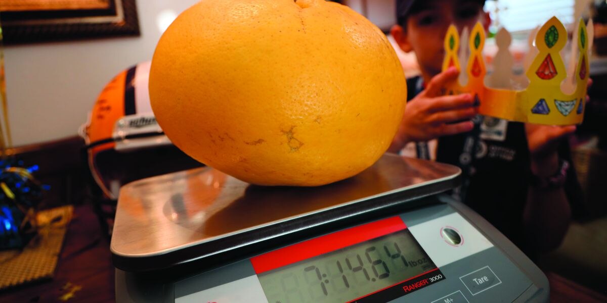 U.S. grapefruit wins world record for size, weight - FreshFruitPortal.com