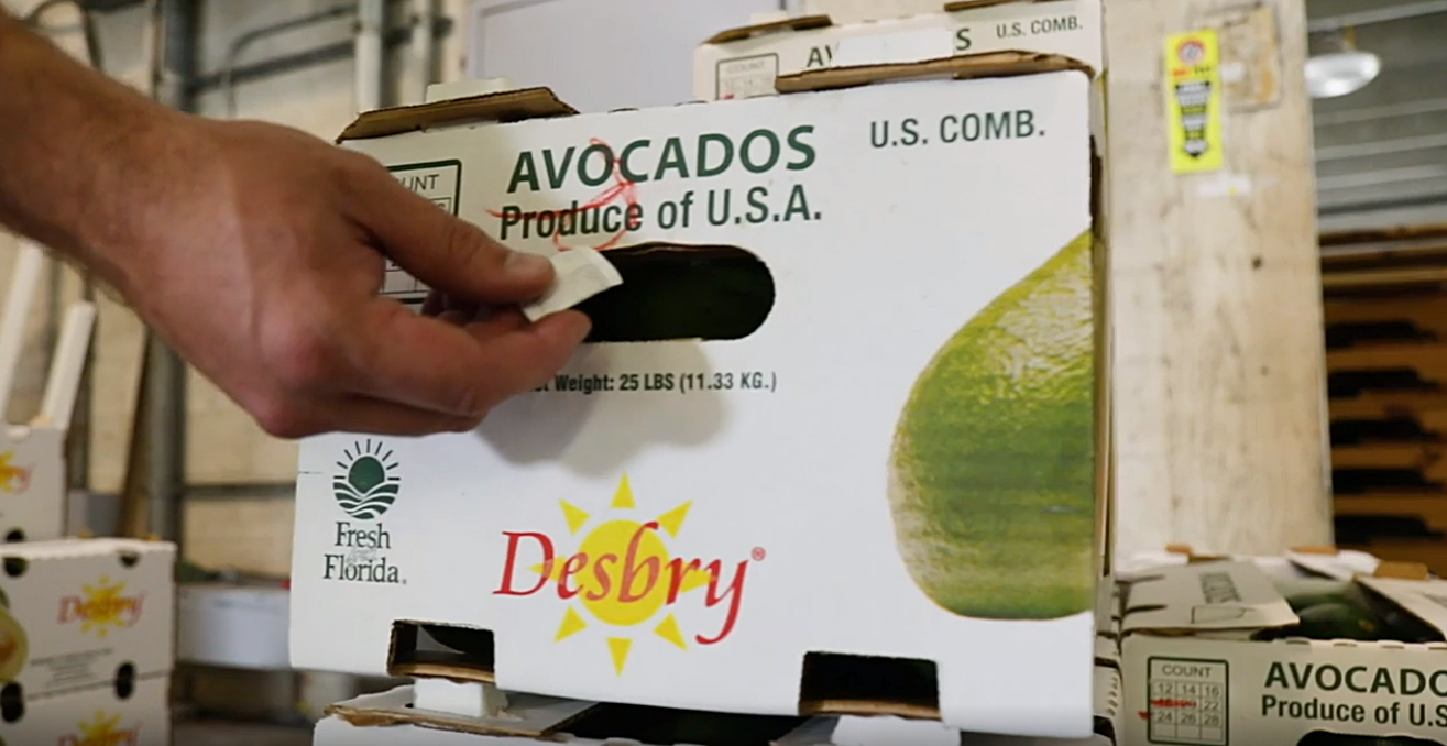 Hazel partners with WP Produce to extend green-skinned avocado shelf ...