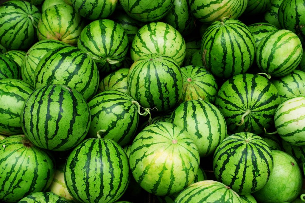 Watermelons: Genomic resource created - FreshFruitPortal.com