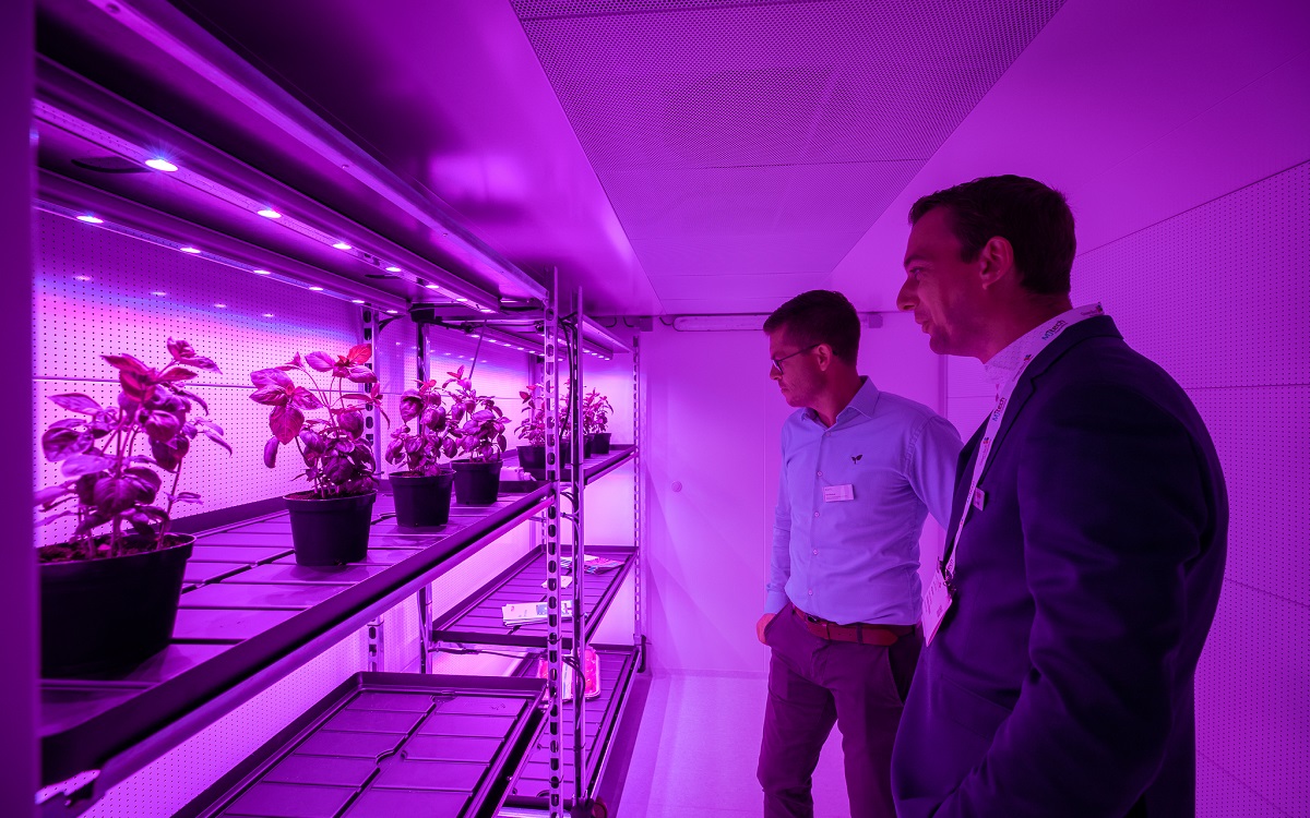 GreenTech: High demand for hort tech expertise - FreshFruitPortal.com