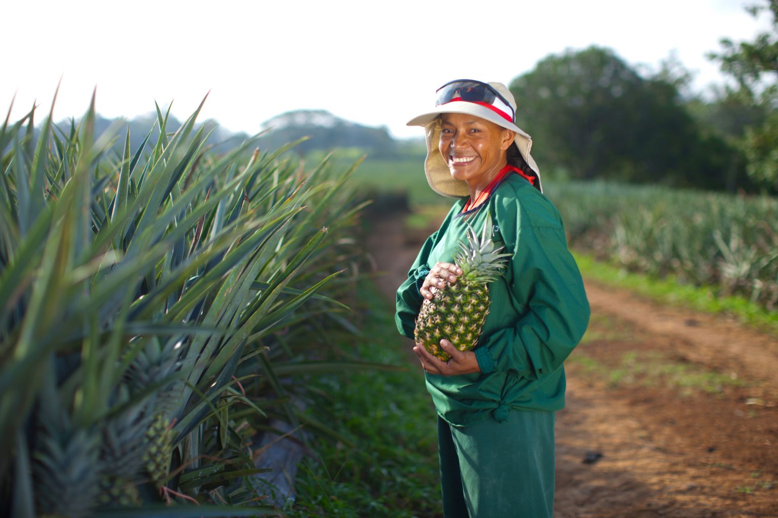 Dole marks 125 years of pineapple business - FhreshFruitPortal.com